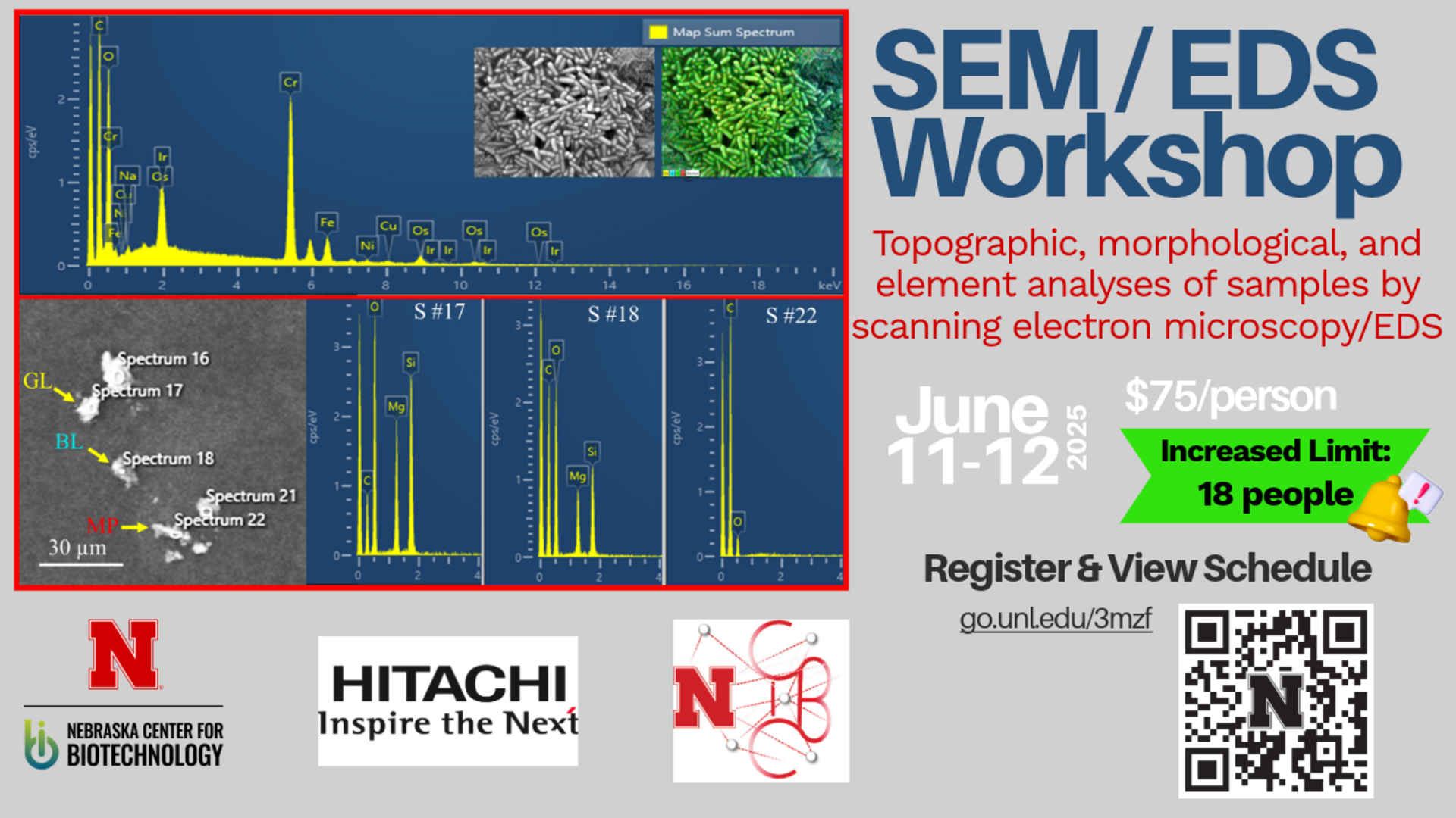 SEM - EDS Microscopy Workshop June 2025 | Nebraska Center for ...