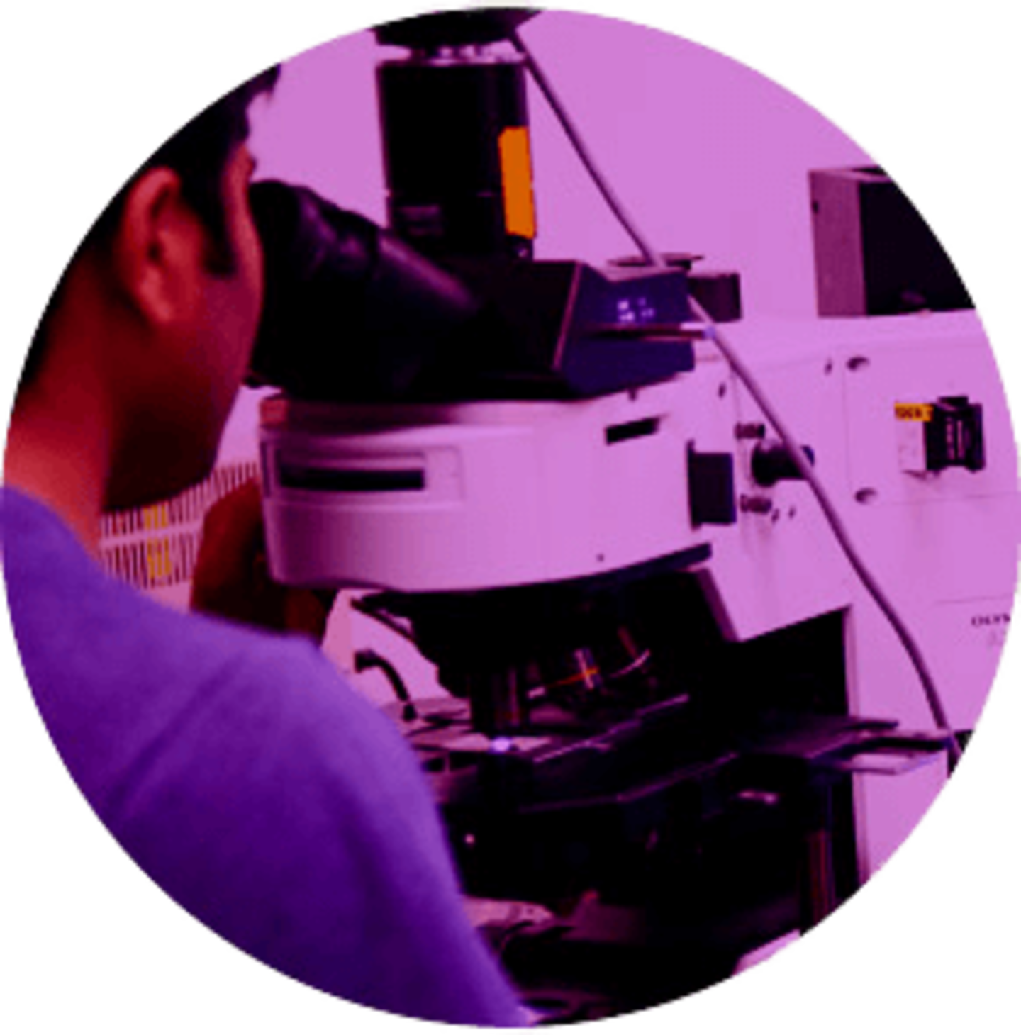 Core Research Facilities | Nebraska Center for Biotechnology | Nebraska